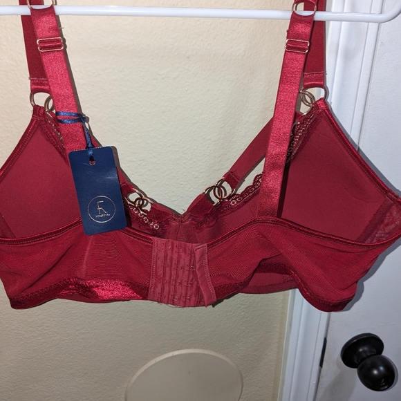 Fox & Royal | Intimates & Sleepwear | Nwt Fox Royal Red Size 42gh Bra ...
